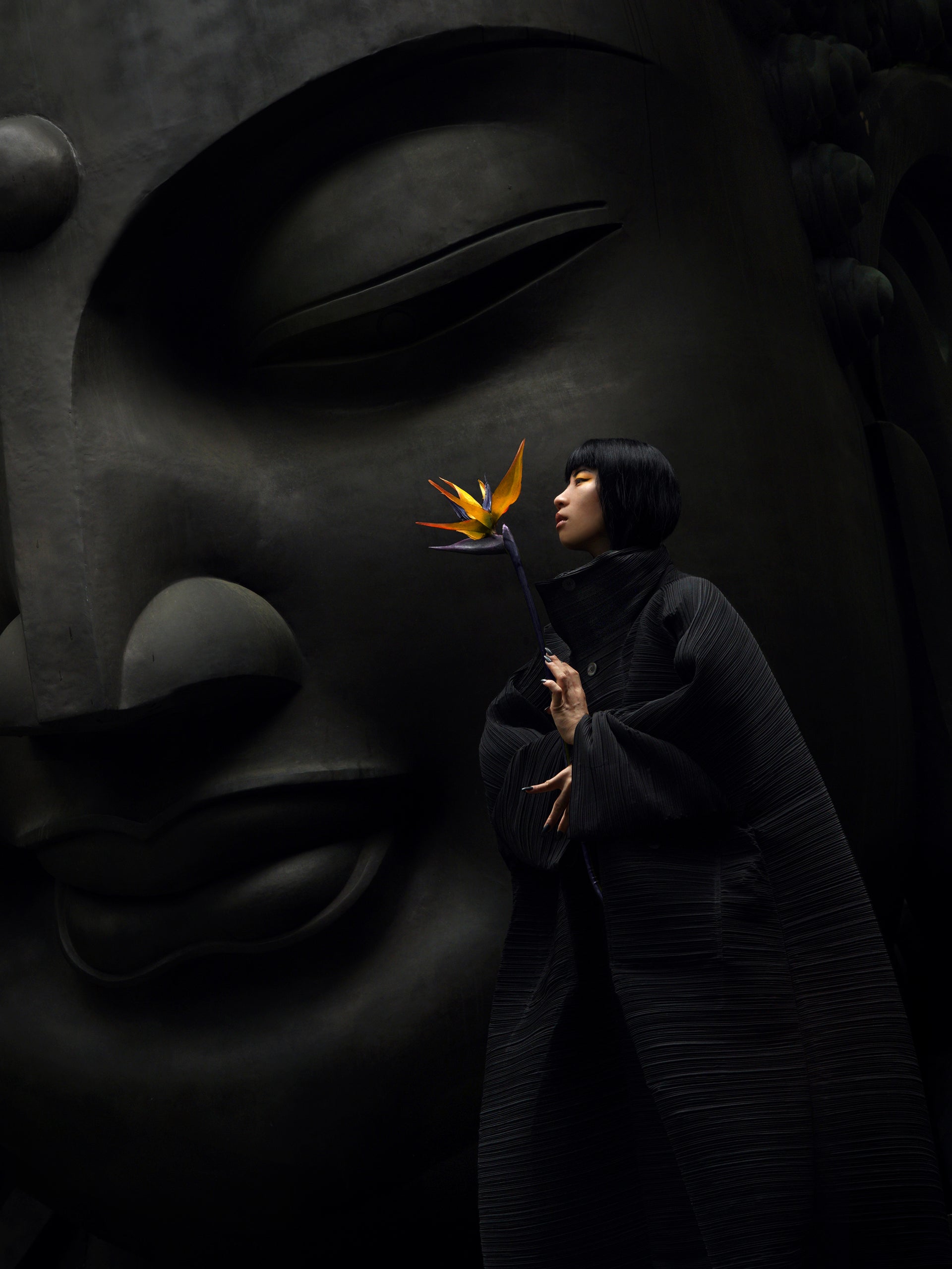 ROSEN: NOON – ROSEN | ROSEN-X